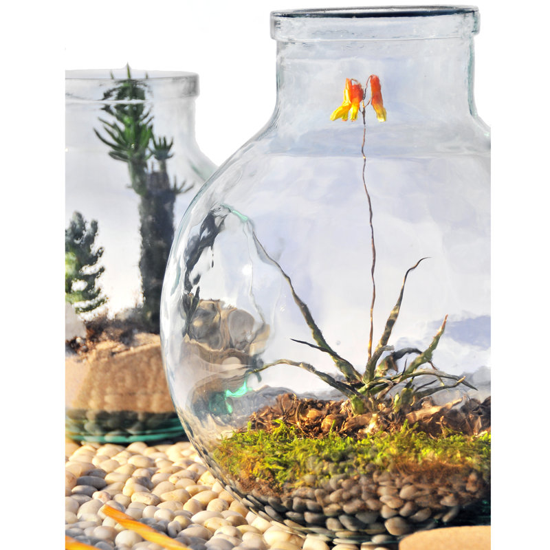 Gracie Oaks Sphere Storage Jar & Reviews | Wayfair