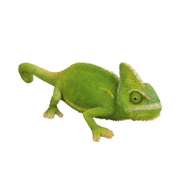 Hi-Line Gift Ltd. Chameleon Statue & Reviews | Wayfair