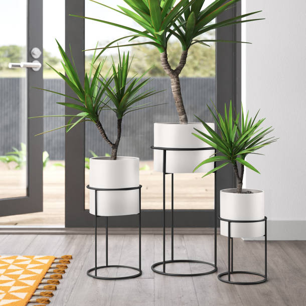 Astoria Grand Sula Plant Stand & Reviews | Wayfair