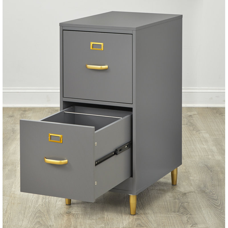 Mercer41 Dahle 15'' Wide 2 -Drawer File Cabinet & Reviews | Wayfair