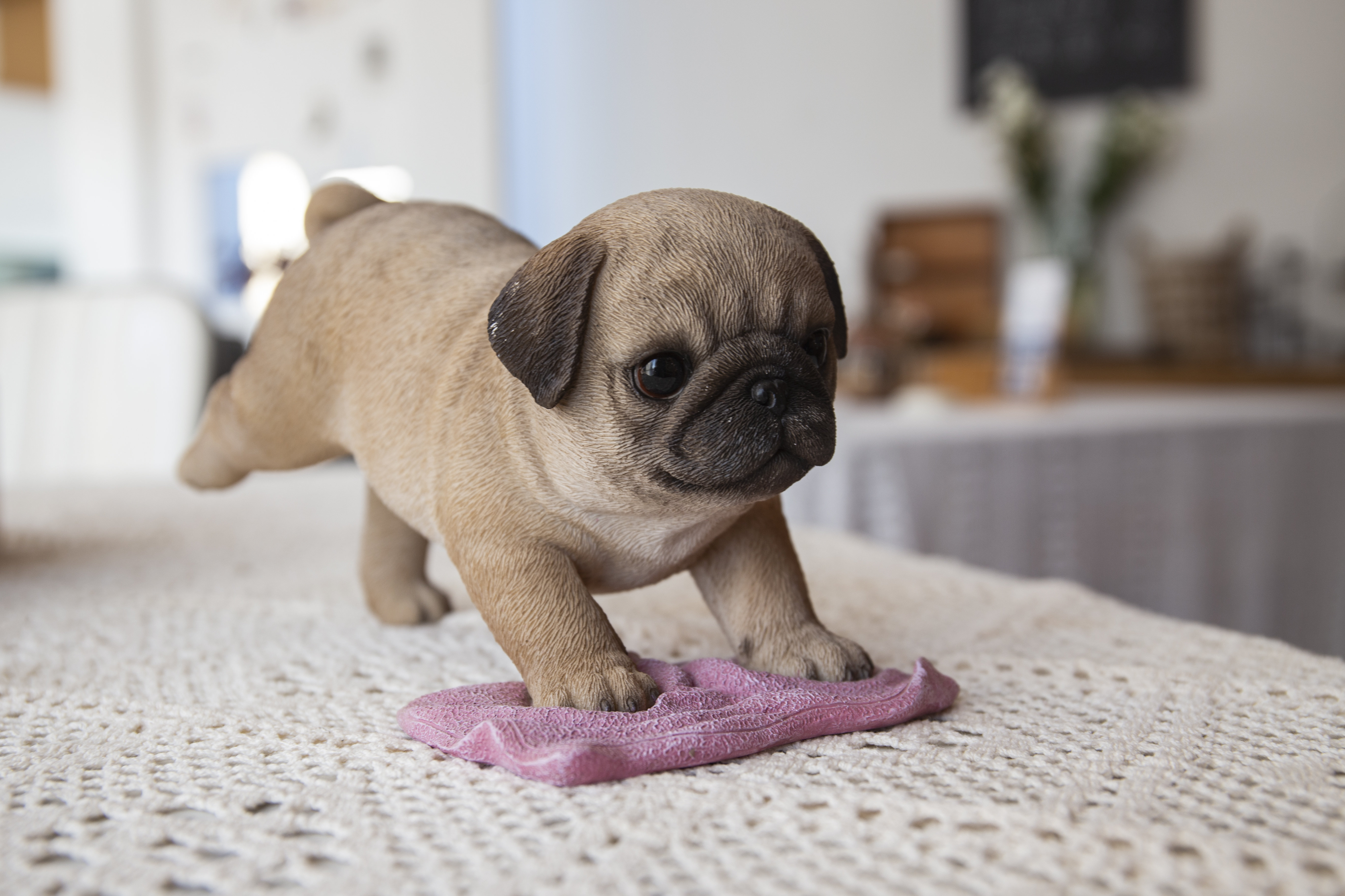 Hi-Line Gift Ltd. Pug Mopping the Floor | Wayfair