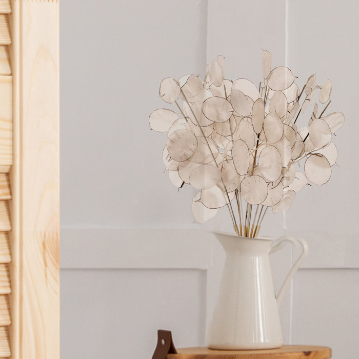 Union Rustic Lunaria Bundle Coin Pod Stems & Reviews | Wayfair