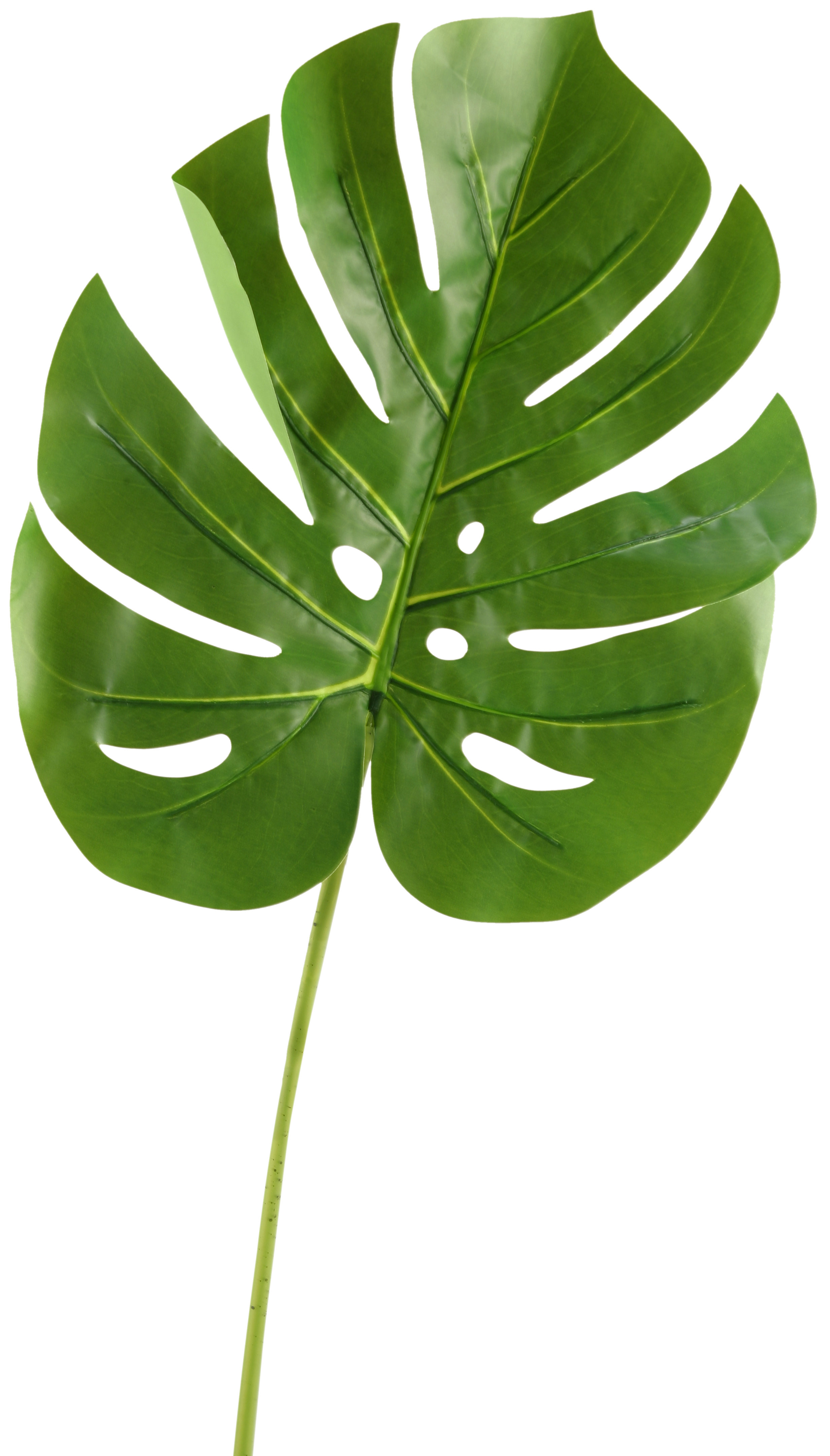 Bay Isle Home 34'' Philo Split Leaf Stem & Reviews | Wayfair