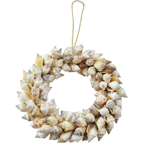 Rosecliff Heights Handcrafted Shell Wreath & Reviews | Wayfair