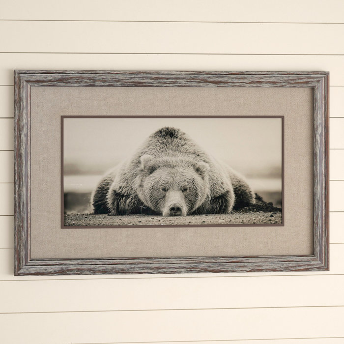 Steelside™ Deep Sleep Bear Framed On Paper by Liz Jardine Photograph ...