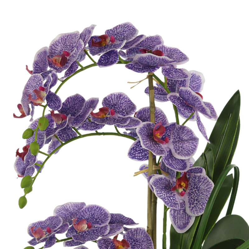 Creative Displays, Inc. Orchid Floral Arrangements in Pot | Perigold