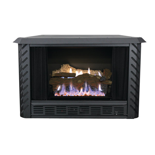 Ashley Hearth Vent Free Natural Gas/Propane Fireplace Insert & Reviews ...