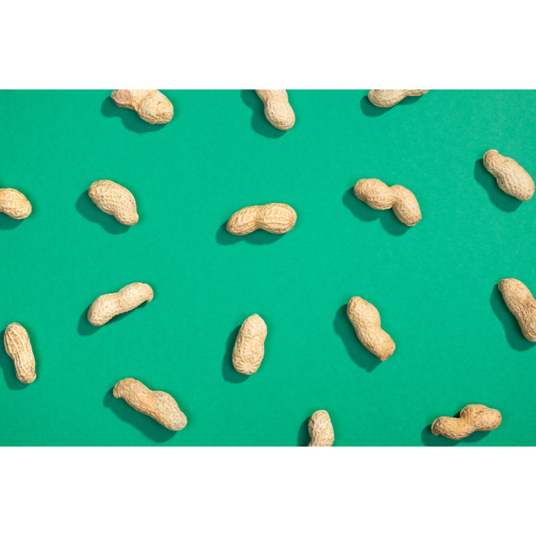 Latitude Run Peanut Nuts by - Wrapped Canvas Photograph | Wayfair.co.uk