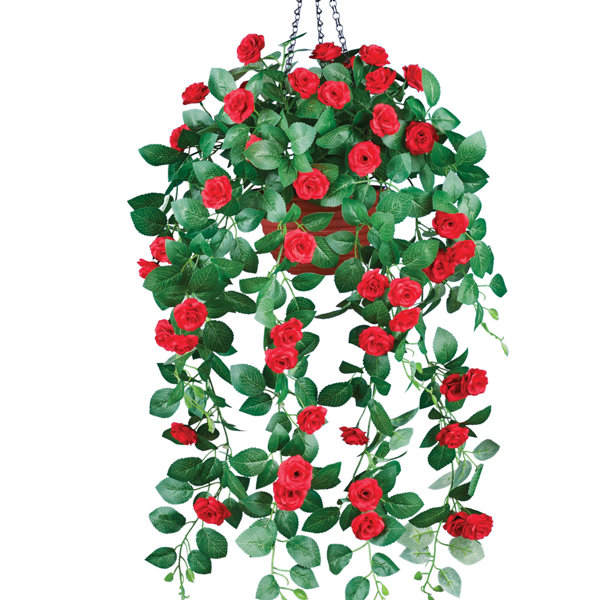 Primrue Cascading Roses Hanging Basket & Reviews - Wayfair Canada