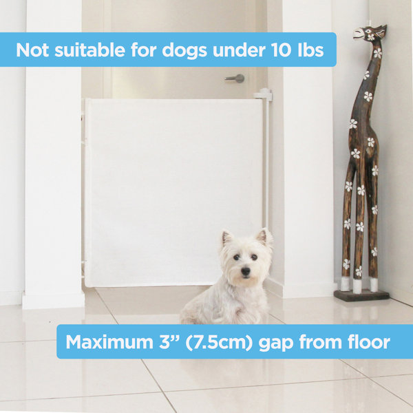 Perma Child Safety Retractable Safety Gate & Reviews | Wayfair