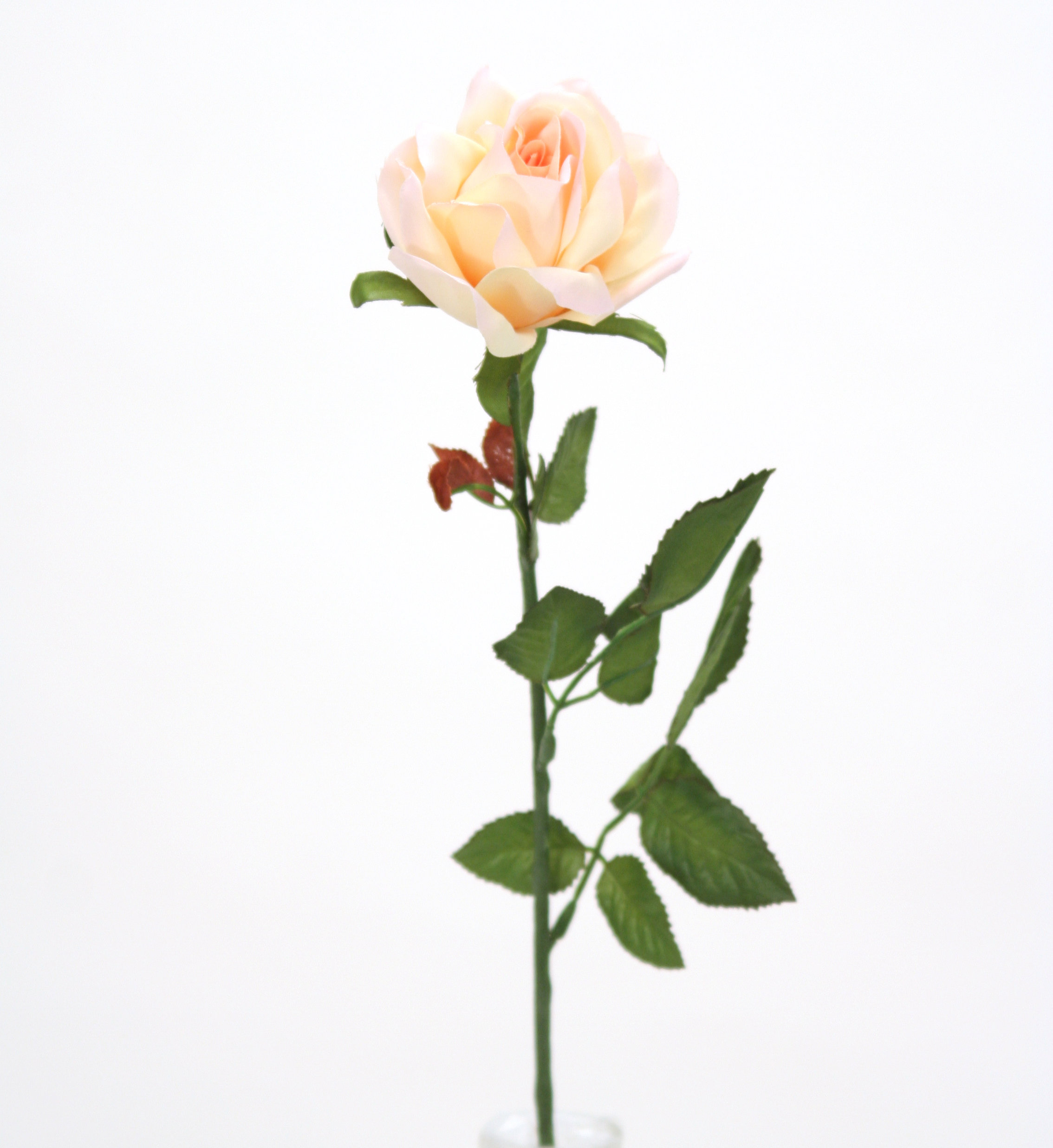 Primrue Roses Stem | Wayfair