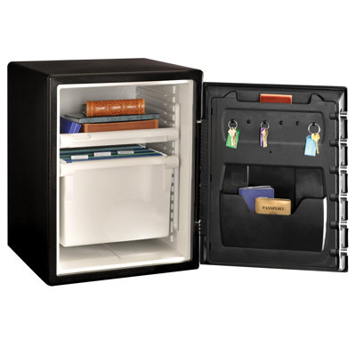SentrySafe Sentry Fire File Safe with Biometric Lock & Reviews | Wayfair