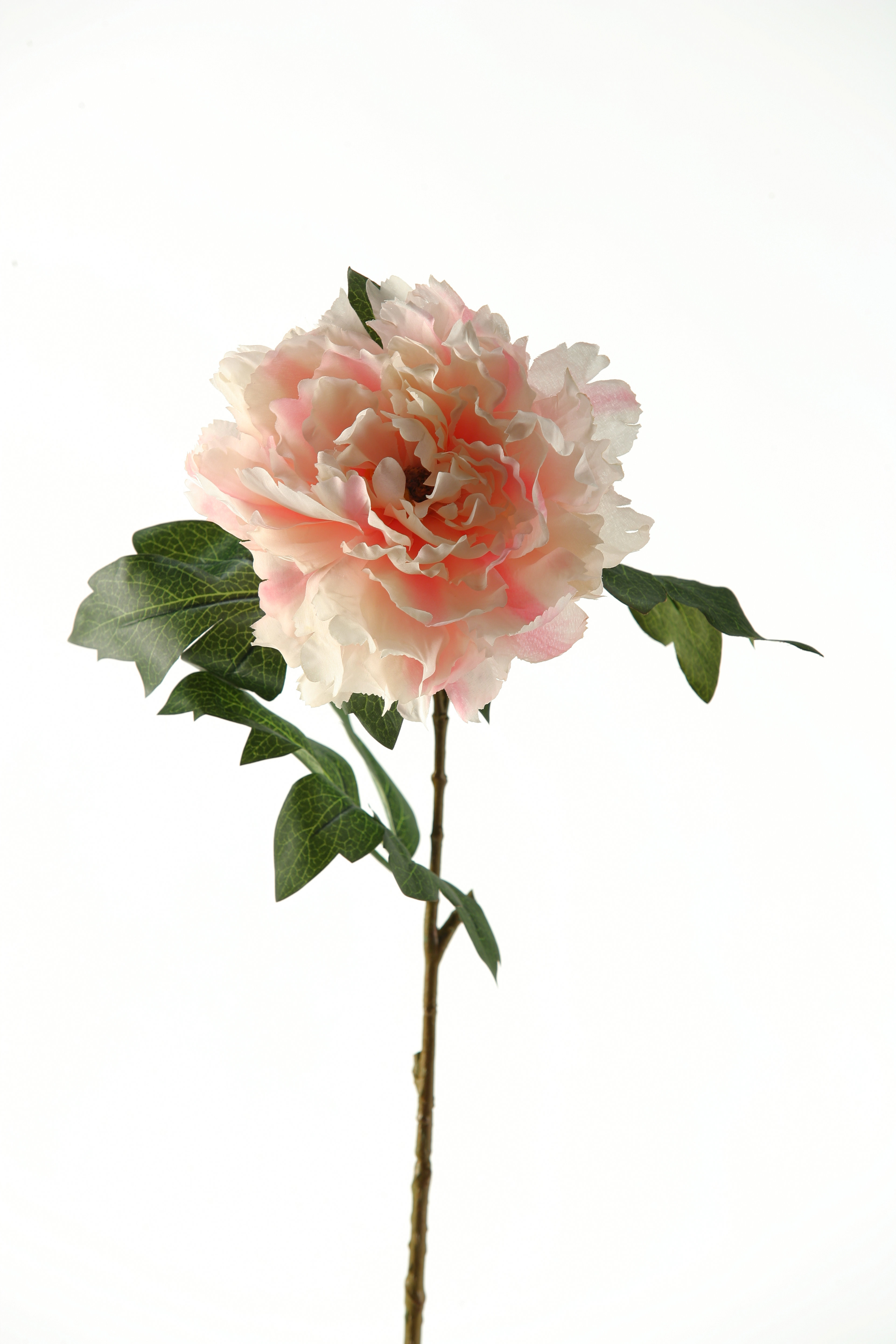 Ophelia & Co. Peony Stem | Wayfair