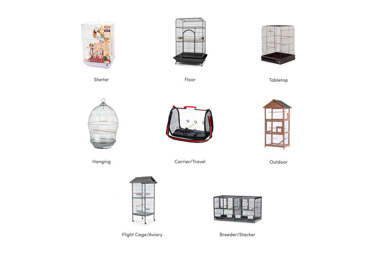 Bird Cage Buying Guide: How to Choose the Best Option | Wayfair
