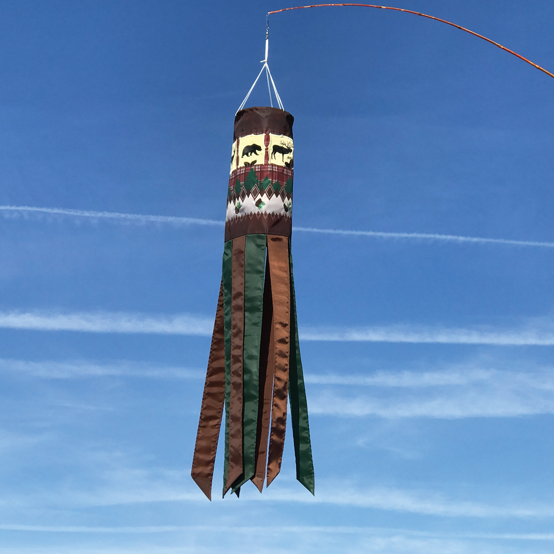 Millwood Pines Rustic Lodge 40" Windsock | Wayfair