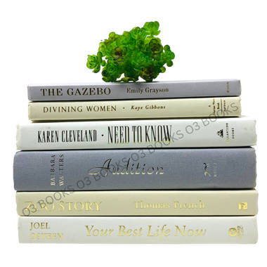Latitude Run® Gray Ivory White Decorative Books | Wayfair