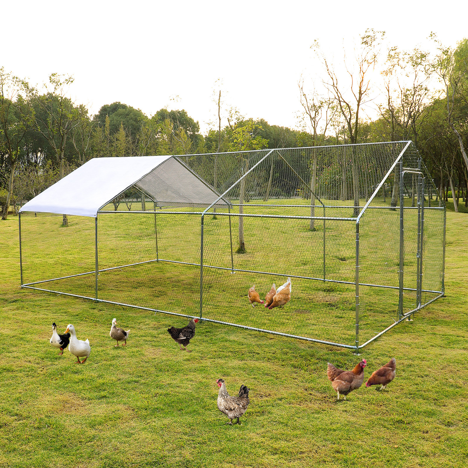 Tucker Murphy Pet™ Bourdieu 195 Square Feet Chicken Coop with Chicken ...