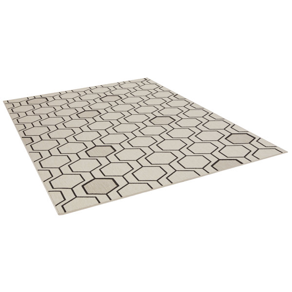 Tilly Mae Rugs | Wayfair.co.uk