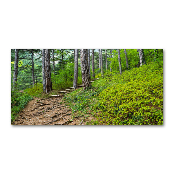 Union Rustic Forest Track - Wrapped Canvas Art Prints | Wayfair.co.uk