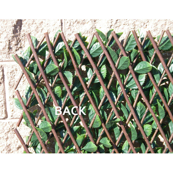 ESEssentials 3.5 ft. H x 6.5 ft. W Beach Leaf Accordion Expandable Wall ...