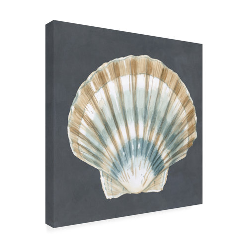Dovecove Megan Meagher 'Shell On Slate III' Outdoor Canvas | Wayfair
