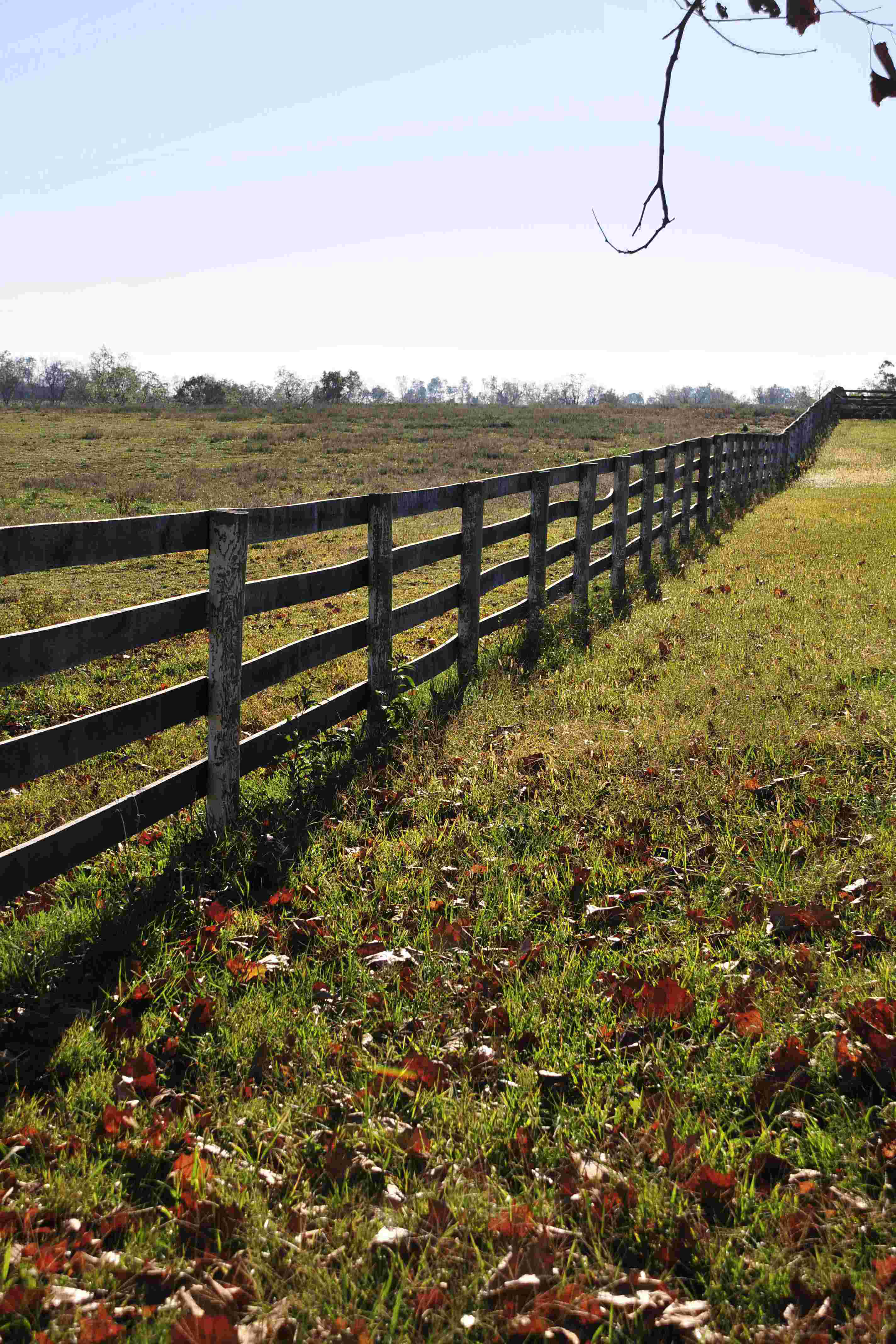 Ebern Designs Sunny Fence Photography - Wrapped Canvas Photograph | Wayfair