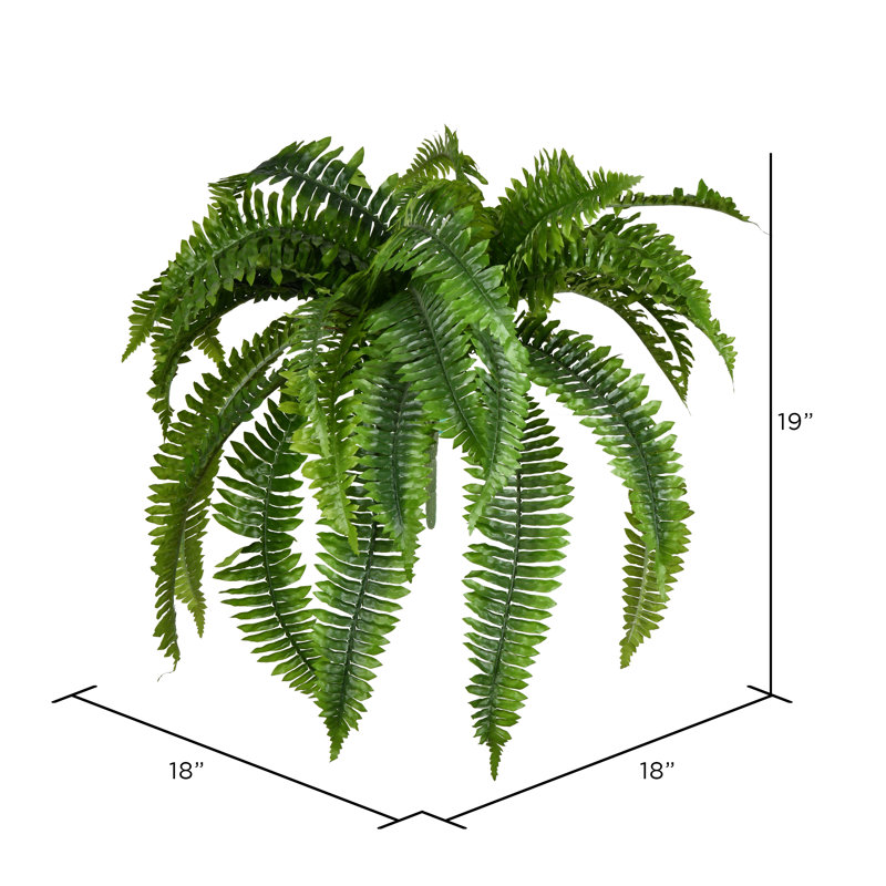 Bayou Breeze Artificial Fern Bush & Reviews | Wayfair