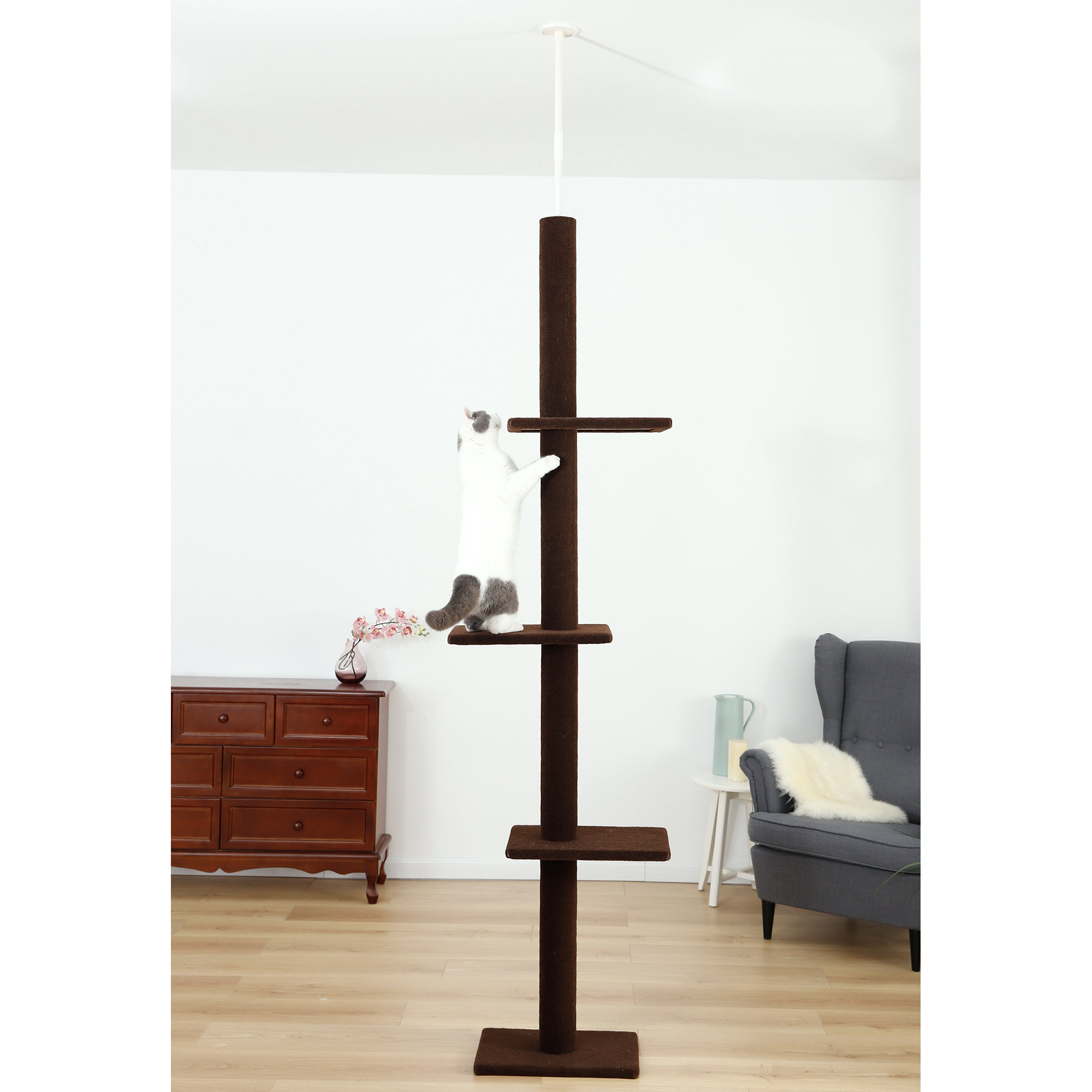 Archie & Oscar™ Asher Cat Tree & Reviews | Wayfair