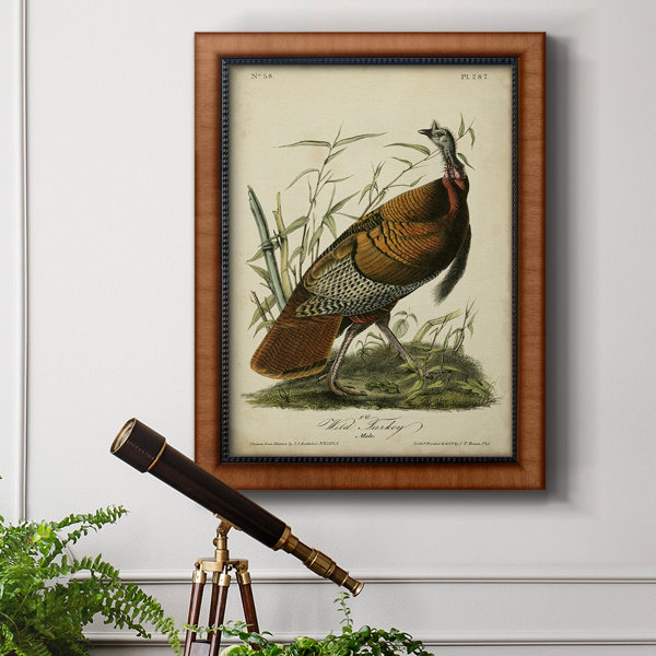 The Holiday Aisle® Audubon Wild Turkey - Picture Frame Painting on ...