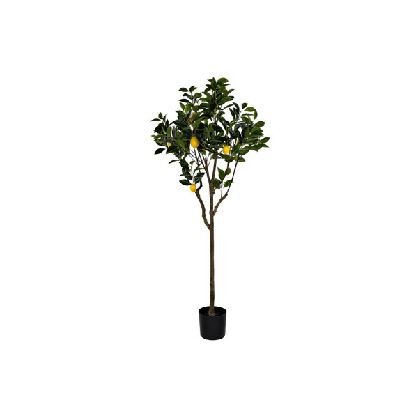 The Seasonal Aisle 150Cm Faux Lemon Tree in Pot | Wayfair.co.uk