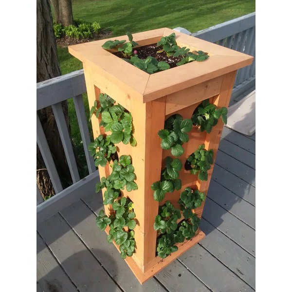 Red Barrel Studio® Strawberry Tower Planter - Wayfair Canada