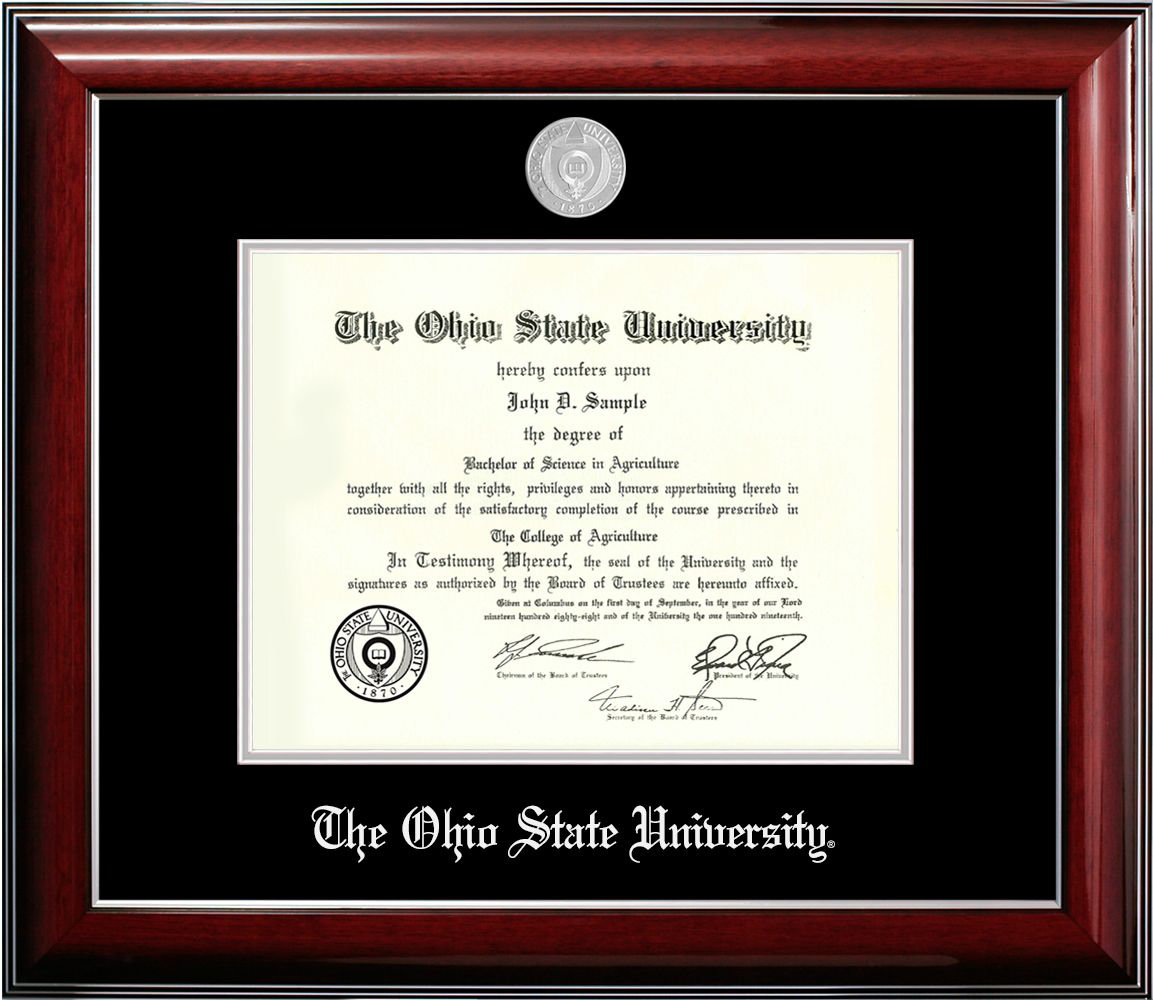 Red Barrel Studio® NCAA Ohio State University Silver Embossed Diploma ...