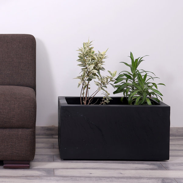 Ebern Designs Elyus Fiberglass Planter Box | Wayfair