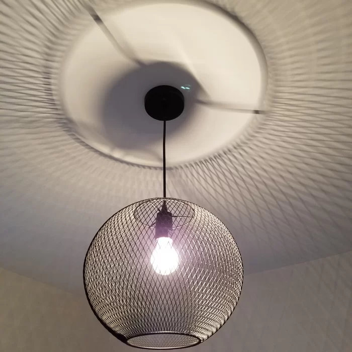 17 Stories Danilo 1 - Light Black Pendant & Reviews | Wayfair