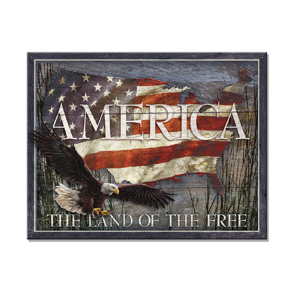 Trinx America - Land Of Free On Metal Graphic Art | Wayfair