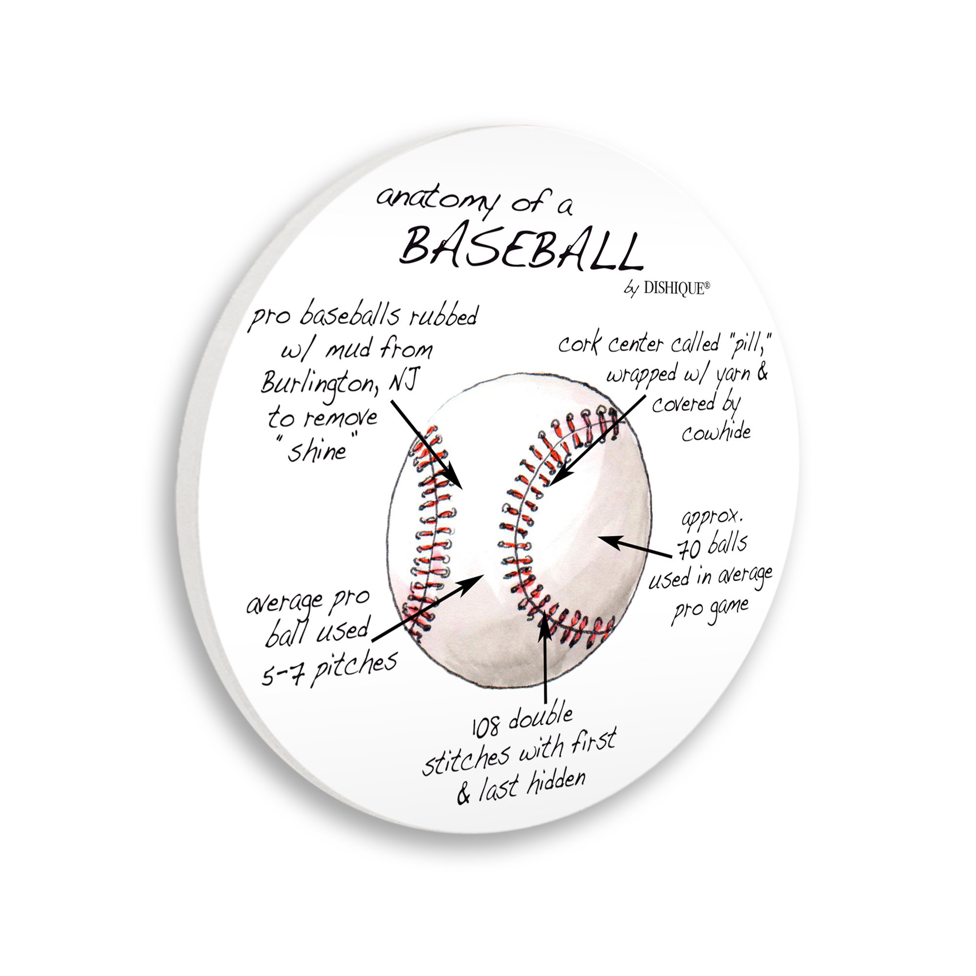 Stupell Industries Anatomy Of Baseball Sports Equipment Informative ...