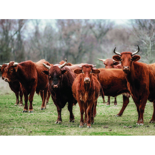 Union Rustic Joncarlo Gathered Together - Wrapped Canvas Print | Wayfair