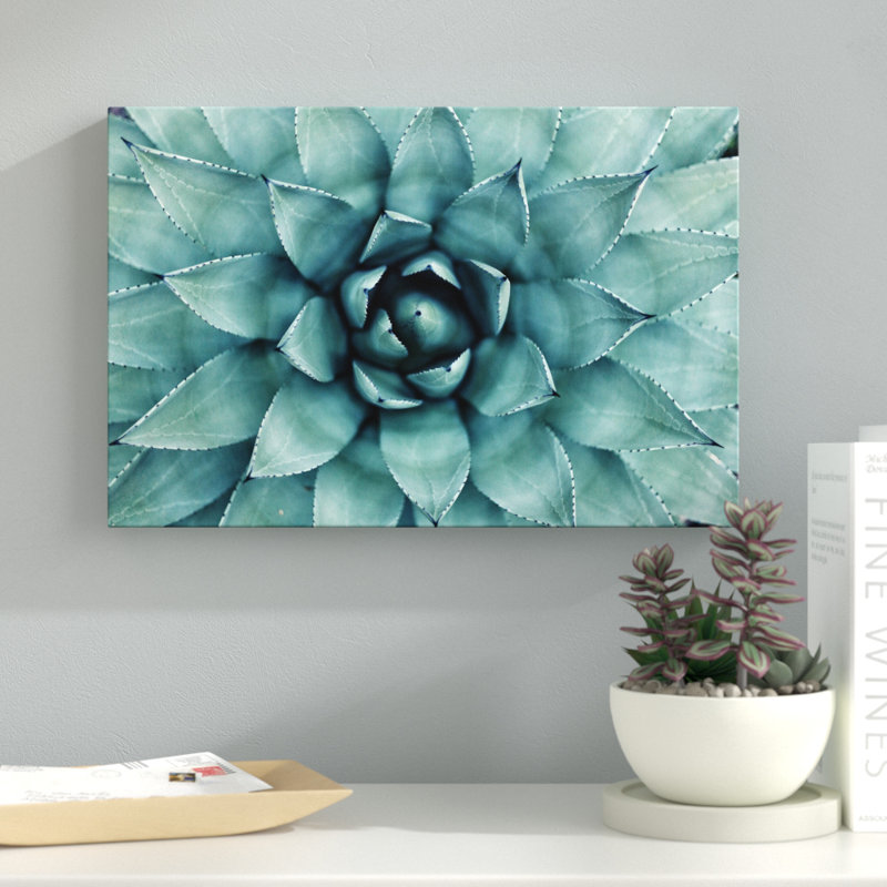 Mistana™ Turquoise Succulent - Wrapped Canvas Photograph & Reviews ...