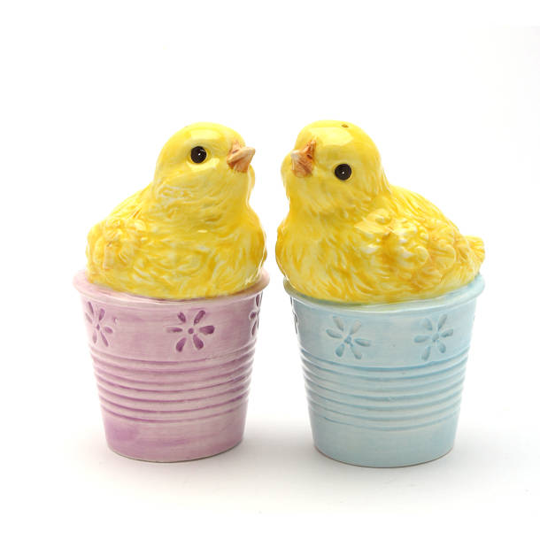 CosmosGifts Cosmos Gifts Chicks 2-Piece Salt and Pepper Set & Reviews ...