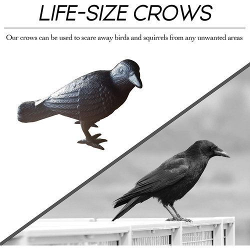 August Grove® Cast Iron Crow | Wayfair
