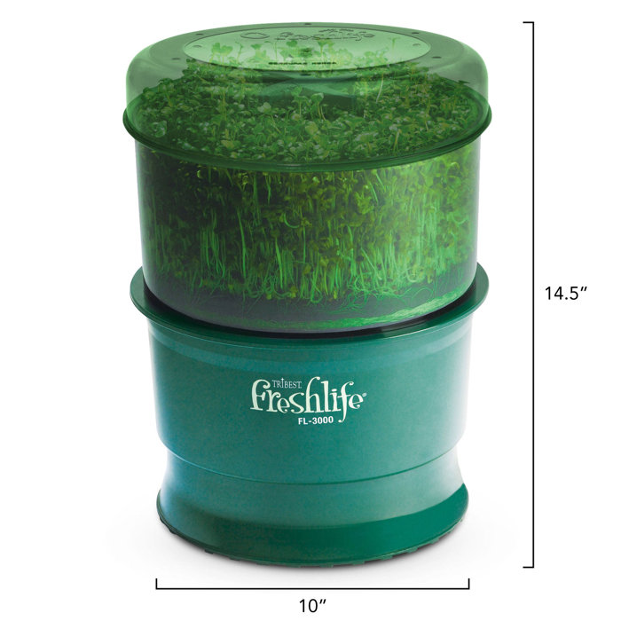 Tribest Freshlife Automatic Sprouter & Reviews | Wayfair