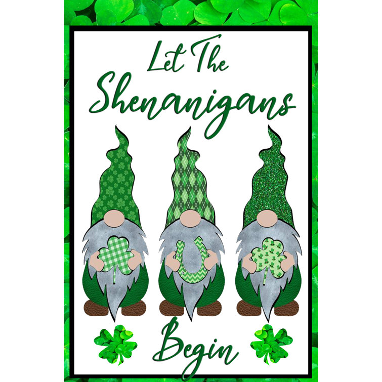 Flags Galore Decor and More St Patrick's Let the Shenanigans Begin 2 ...