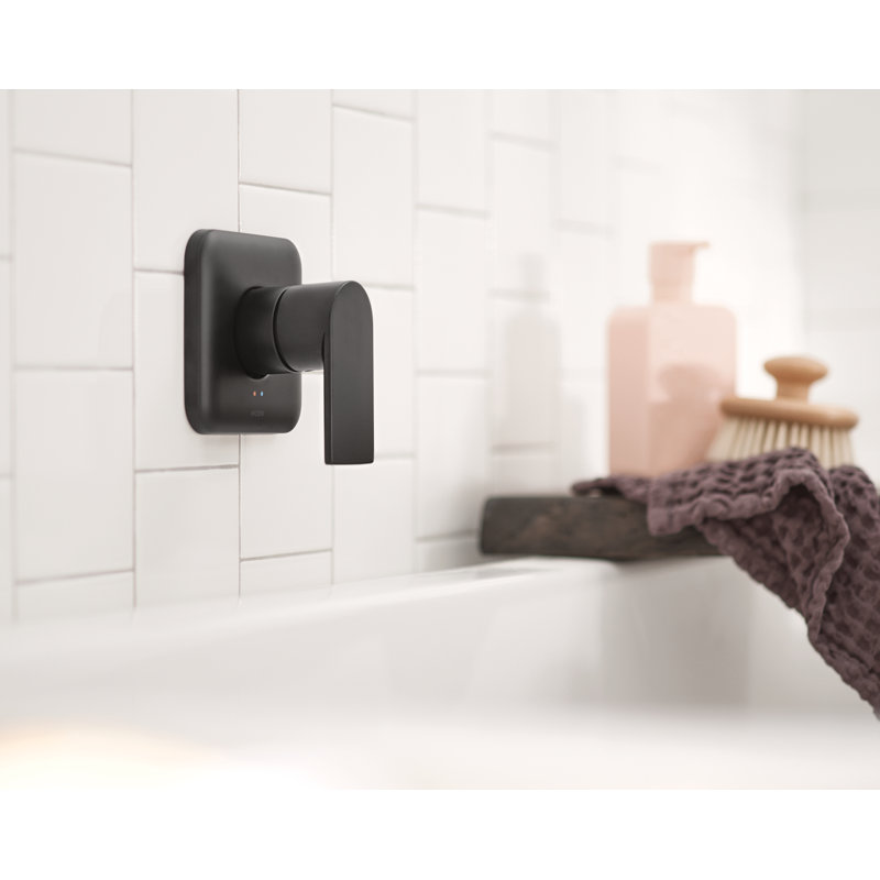 Moen Genta LX Single Handle Wall Mount Tub Filler High Flow Tub Faucet ...