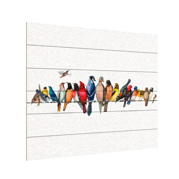 Charlton Home® Large Bird Menagerie II by Wendy Russell Print & Reviews ...