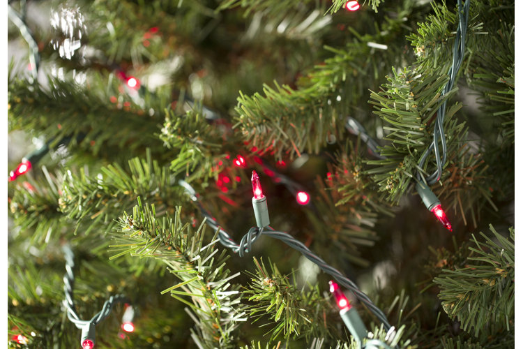 LED vs. Incandescent Christmas Lights: What Are the Differences? | Wayfair