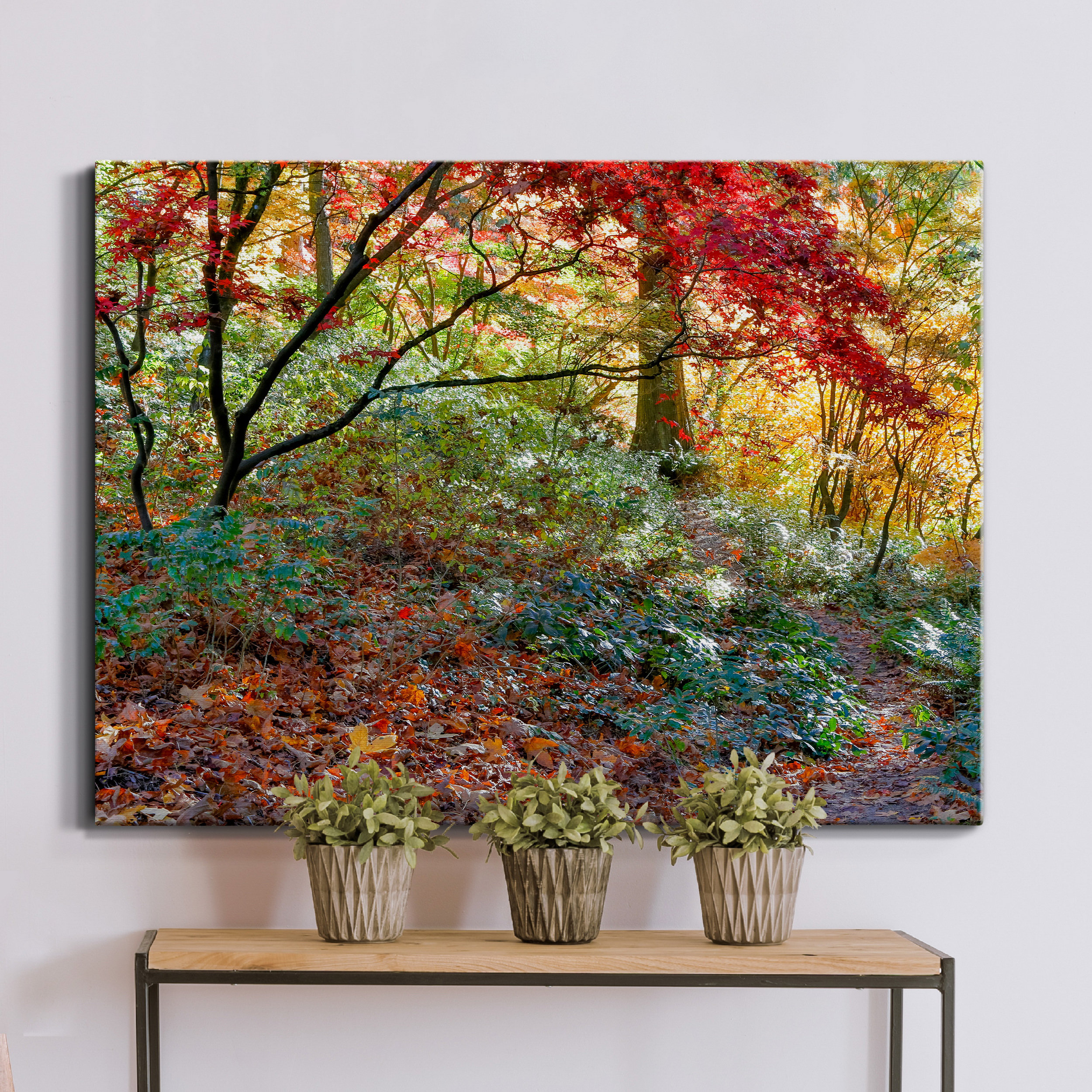 Winston Porter Secret Garden by J Paul - Wrapped Canvas Print & Reviews ...