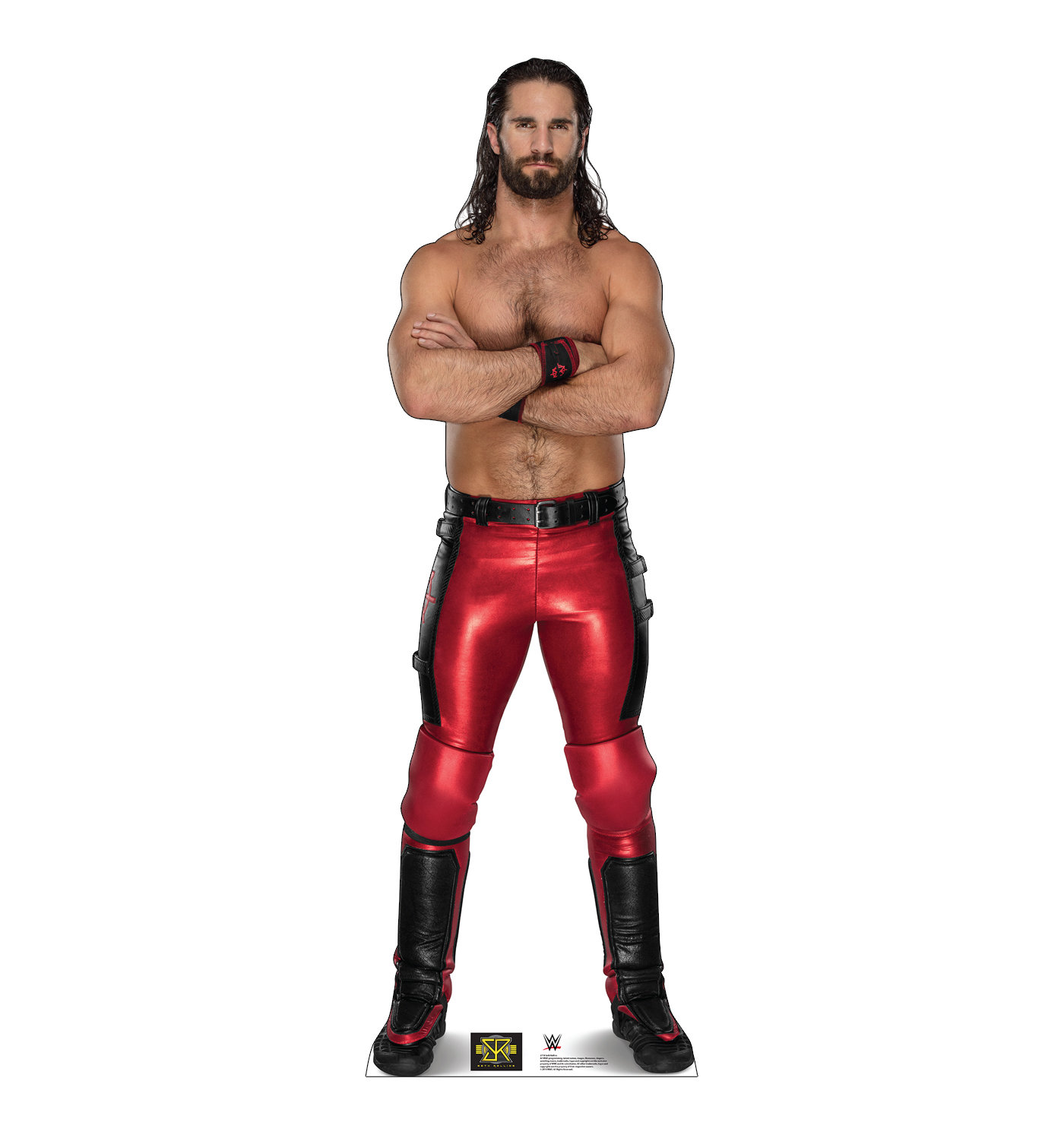 Advanced Graphics Seth Rollins WWE Stand-up | Wayfair