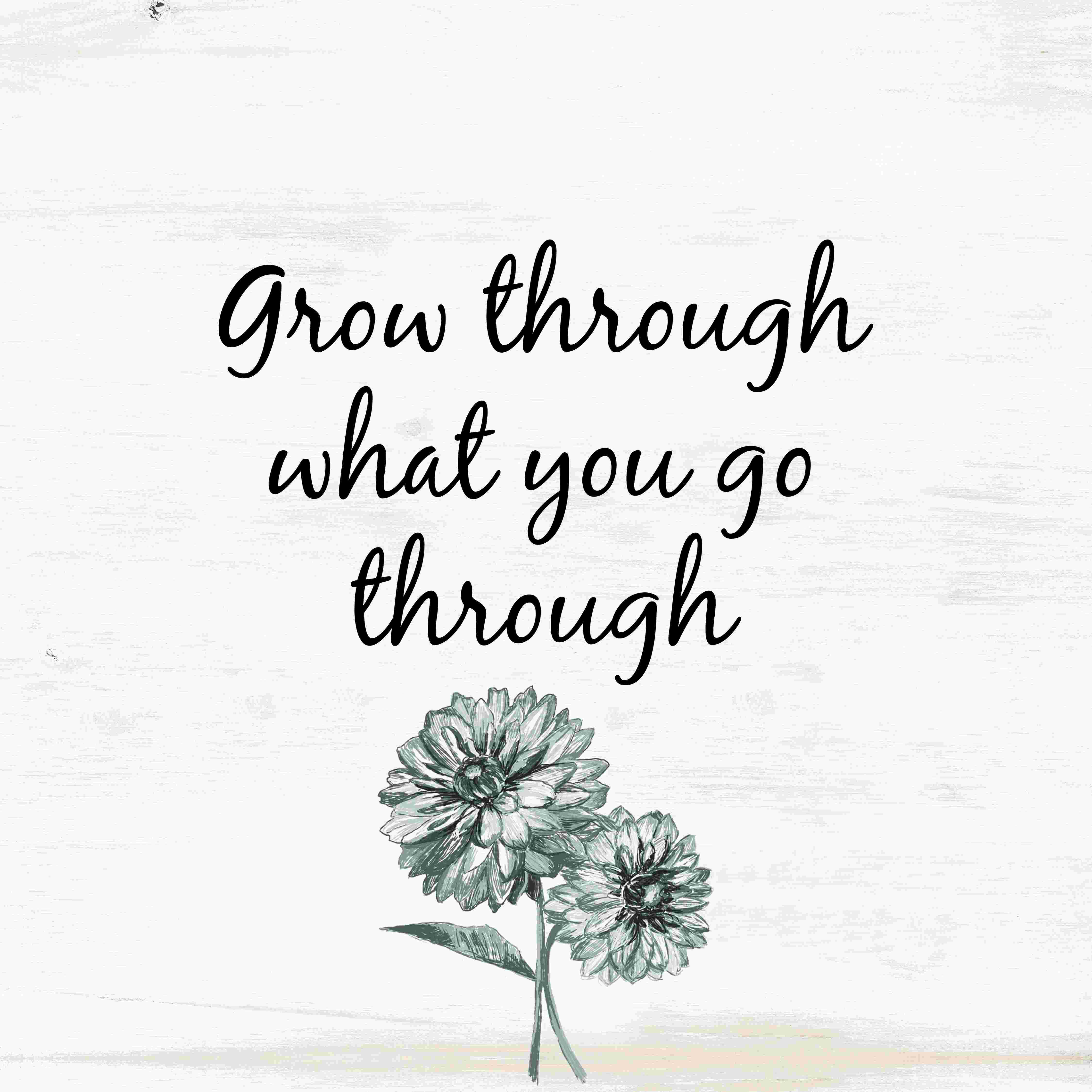 Trinx Grow Through What You Go Through - Wrapped Canvas Print | Wayfair