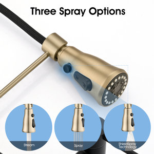 VANITYFAIR Pull Down Kitchen Faucet & Reviews | Wayfair