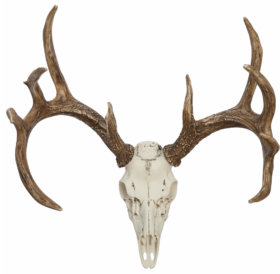 Millwood Pines Tail European Wall Décor | Wayfair